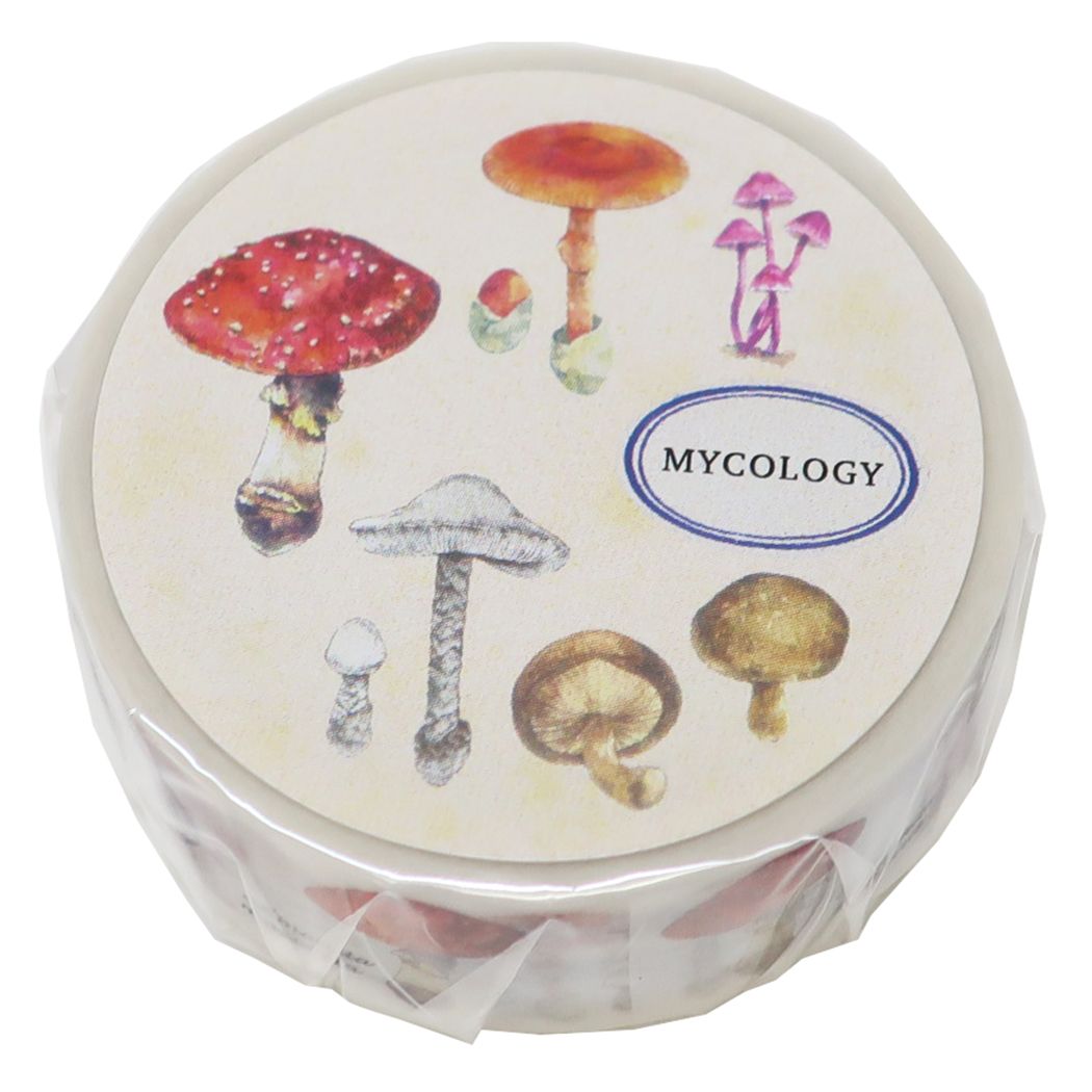 STUDY HOLIC マスキングテープ[品番：BREW0082708]｜cinemacollection（シネマコレクション）のファッション通販｜SHOPLIST（ショップリスト）